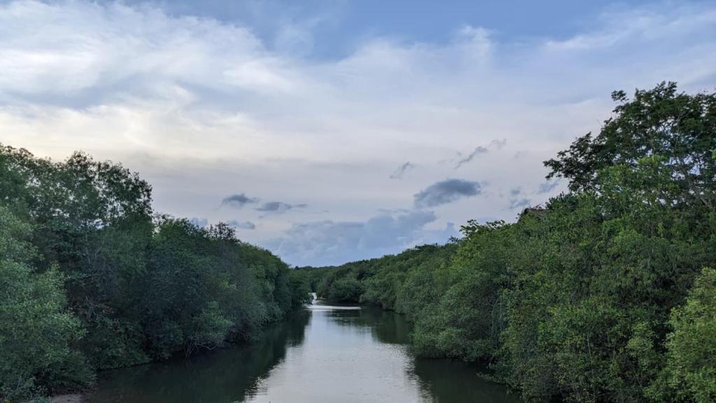 The Alpha monkey tree house, Tangalle (atnaujintos 2025 m. kainos)