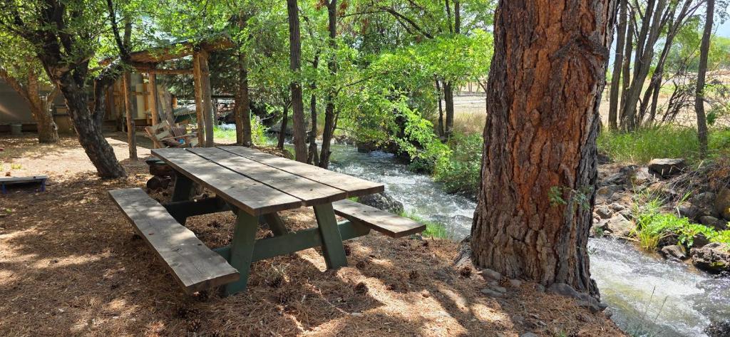 Dog Friendly Room with a Queen Bed and Kitchenette at the Cedaredge ...