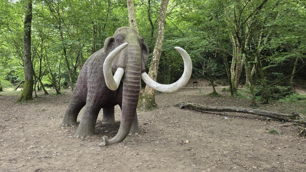 Los acebos. Mar, montaña, cuevas, Rasines (aktualisierte Preise für 2025)