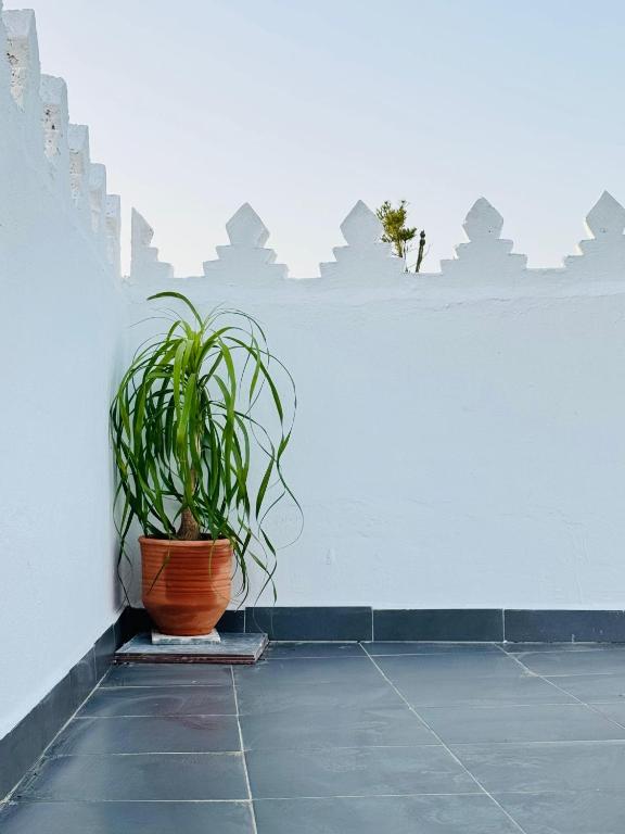 Cozy Riad Familiar, Tanger (aktualisierte Preise für 2026)