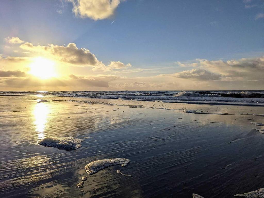 Nis-Puk, Tetenbüll (atnaujintos 2025 m. kainos)