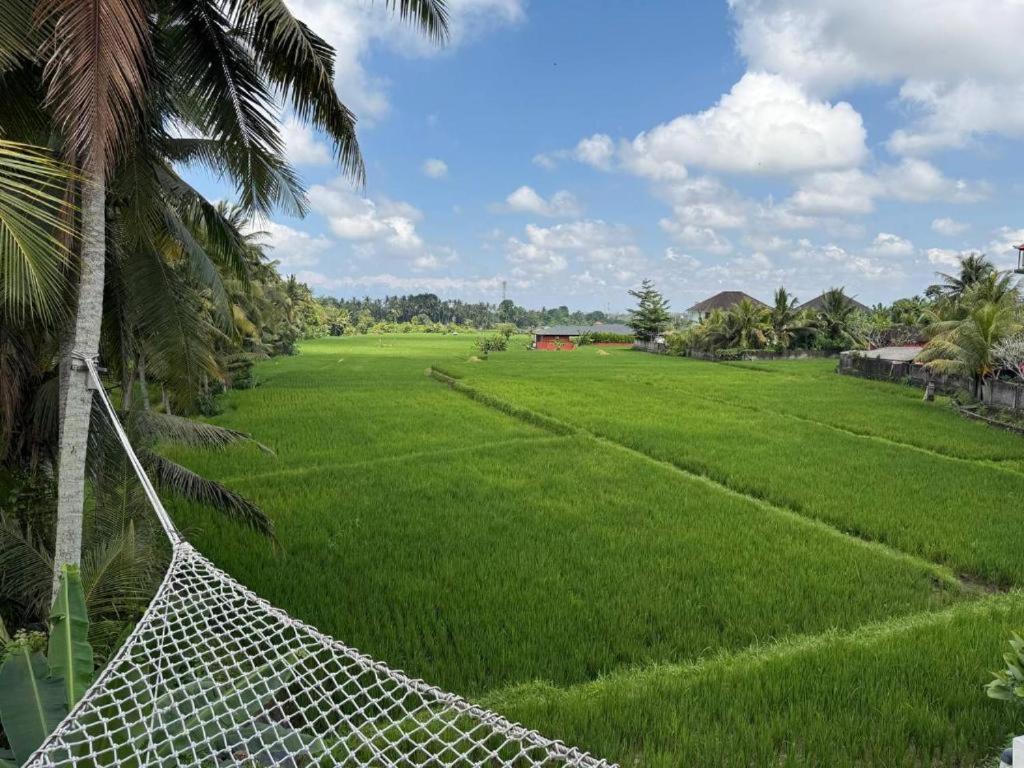 Dzen Greenfield Villa 10, Ubud (precios actualizados 2026)