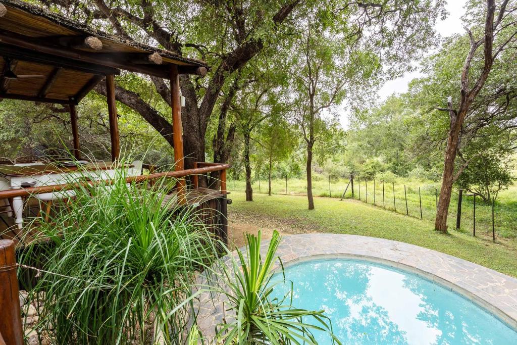 Karongwe Portfolio - Noka House（Metz）：（最新料金：2025年）