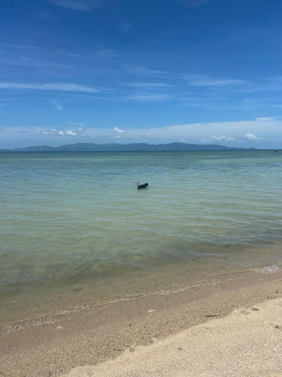 The Cosy Sunset Beach Resort, Thong Sala (updated prices 2025)