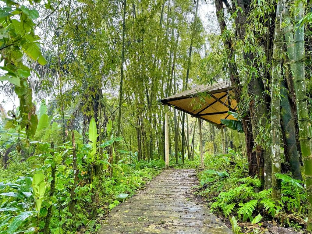 Romantic getaway in nature!, Pacoche (updated prices 2026)