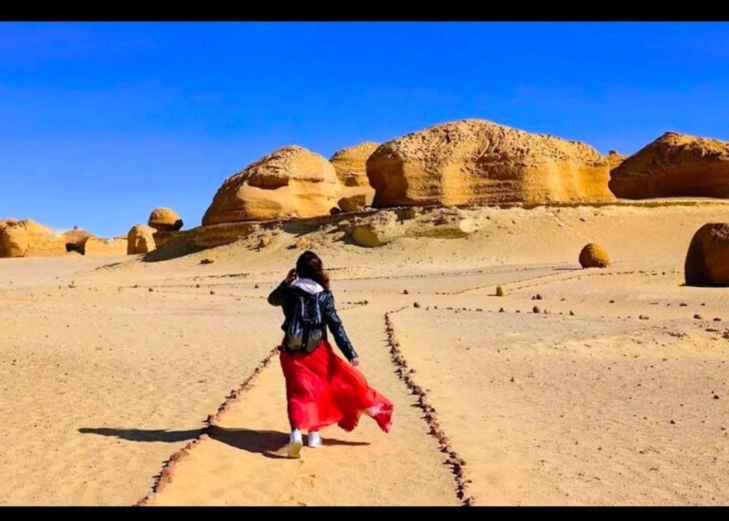 Sooda bob inn, Cairo (updated prices 2026)