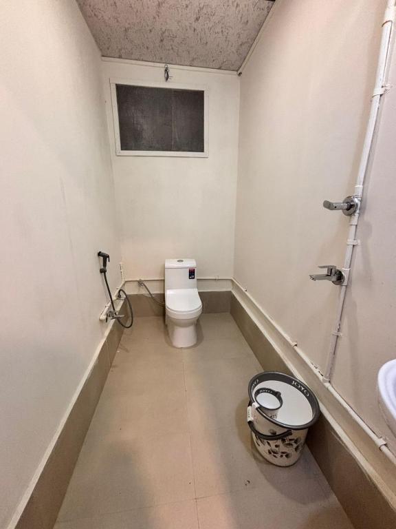 Gauriya The Bay Leaf（Patwa Dunga）：（最新料金：2025年）