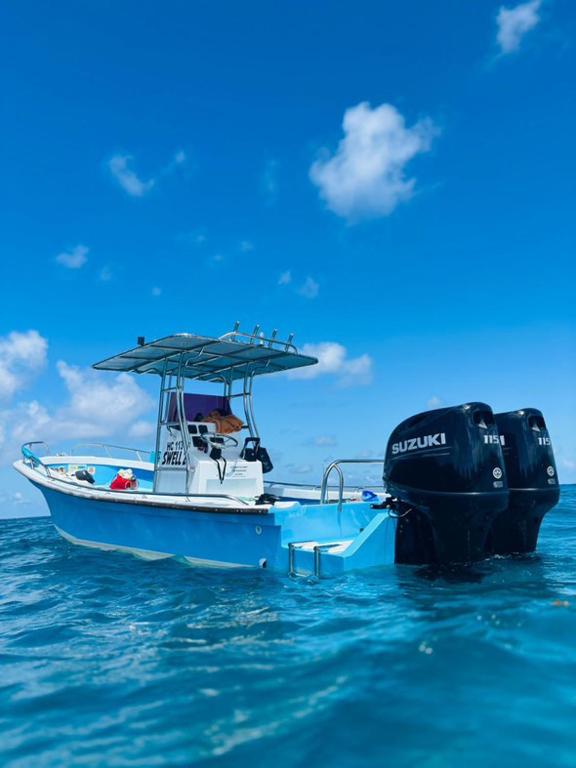 Swell boat excursion, Praslin (precios actualizados 2025)