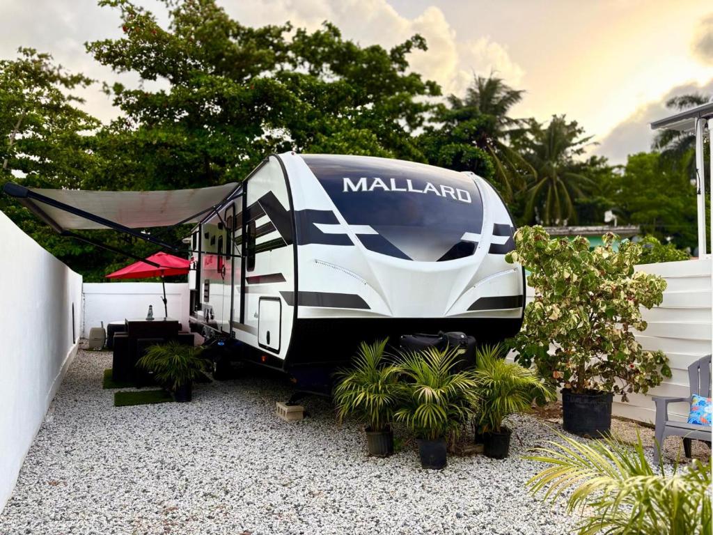 Emi & Mar Rentals, Luquillo (prisene oppdatert 2025)