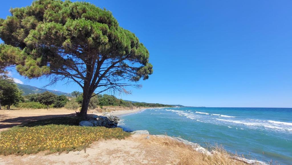 Location de vacances, Santa-Maria-Poggio (2025-ös frissített árak)