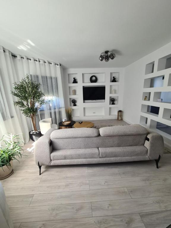 Diana, Hemeius (updated prices 2025)