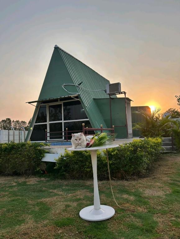 Rk Farm's ไฮเดอราบัด (ราคาอัปเดตปี 2025)
