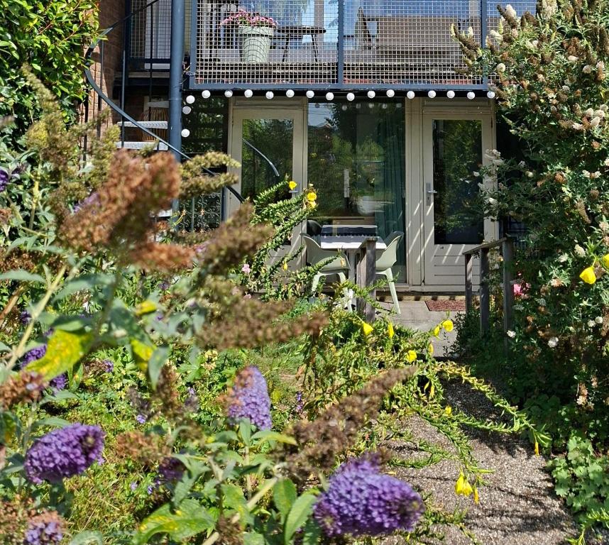 Comfy Cozy Studio, Hilversum (precios actualizados 2025)