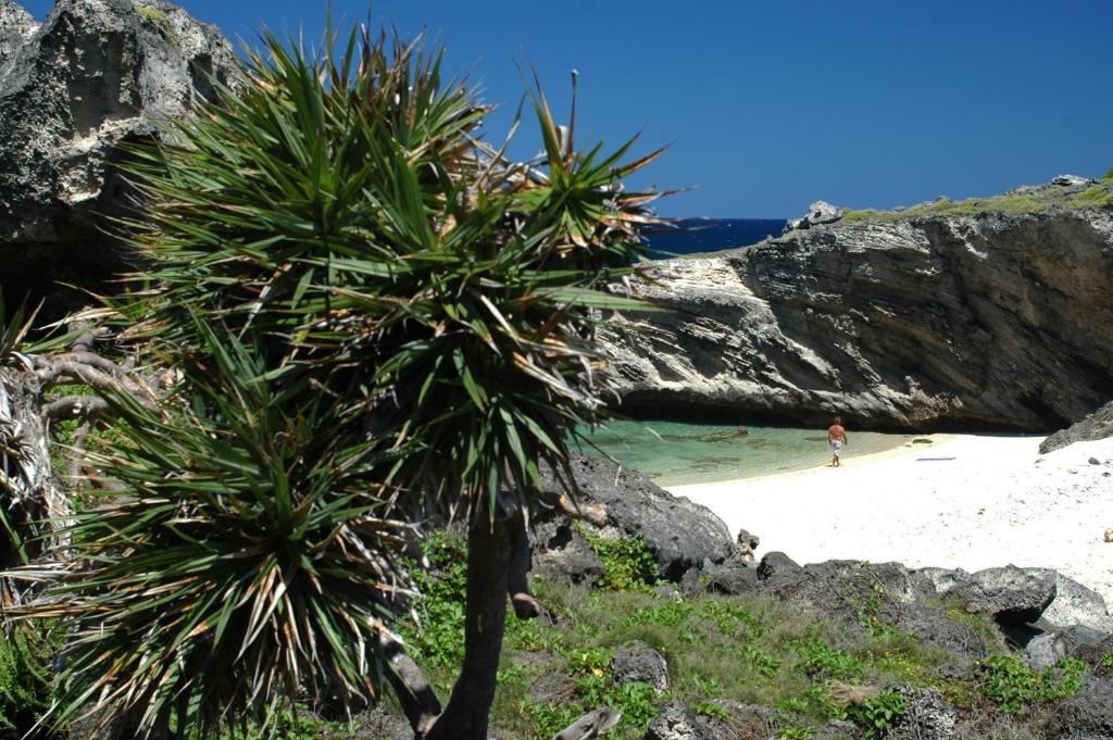 Chez Ronald Guest House, Rodrigues Island (updated prices 2025)