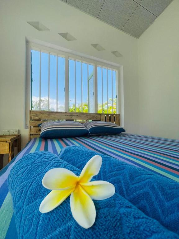 Berg house Hostel, Mirissa (tarifs actualisés, 2025)