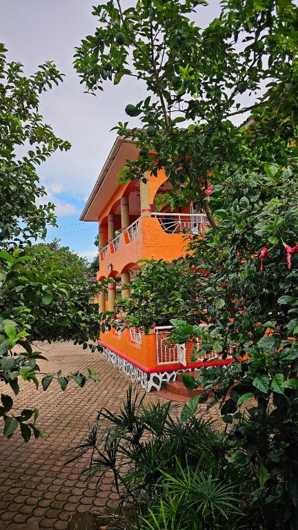 Cosy 3 bedroom home in Buziga, Kampala (aktualizované ceny na rok 2026)