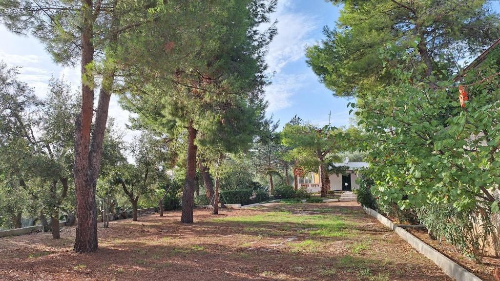 Residence Family House, Vieste (updated prices 2026)