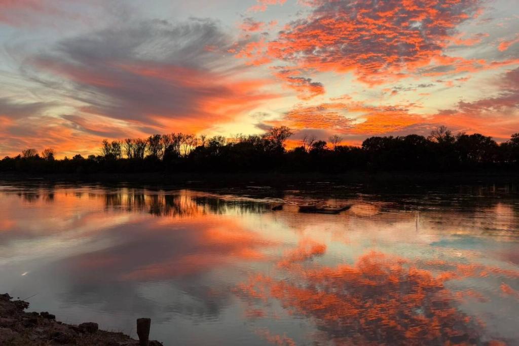 Riverfront Studio Cabin with Amazing View and Huge Yard, Saint Joseph ...
