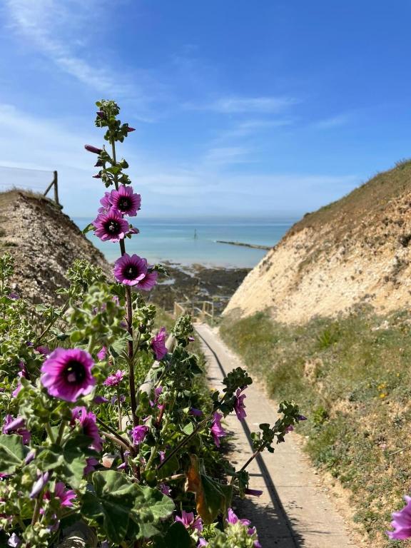 Cairo House, Peacehaven (updated prices 2025)