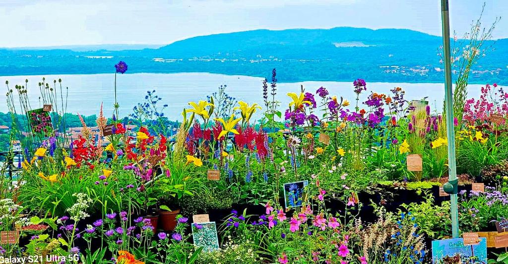 TraMonti e Laghi - Charming Rooms, Comerio (updated prices 2025)