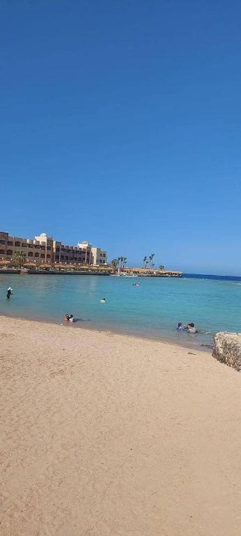 Scandic resort, Hurghada (updated prices 2026)