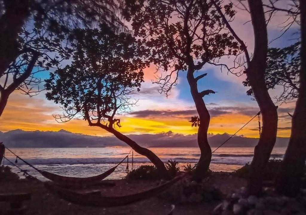 Alaroots Temae Surf Moorea, Temae (uppfærð verð fyrir árið 2025)