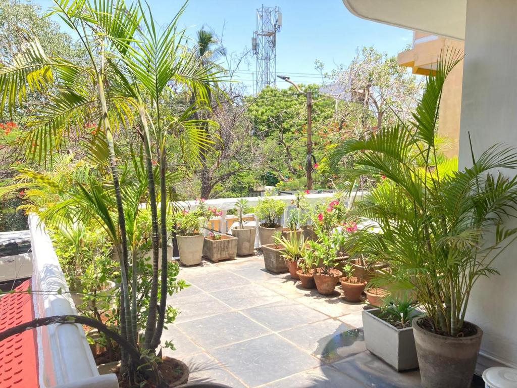 White Villa Guest House, Puducherry (updated prices 2026)