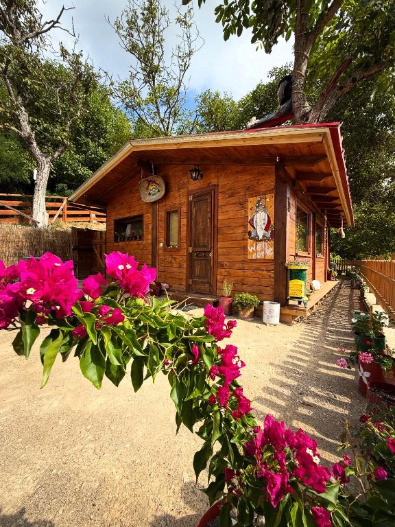 RVilla, Pavliani (updated prices 2025)