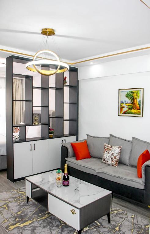 classy studio apartment with fully equipped gym and balcony which ...