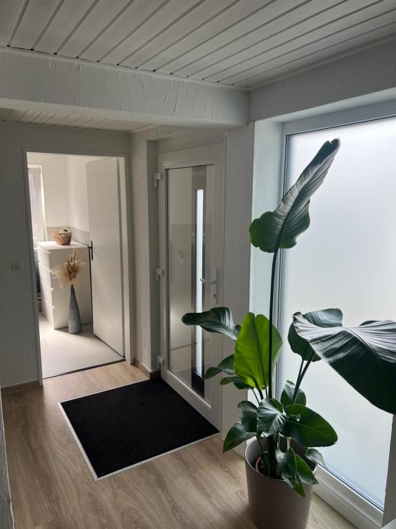 Imagedetailwohnung Hansering Hildesheim Villen Landhauser O 2022 09 01662819