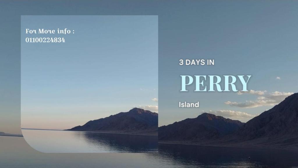 New Perry's Island, Nuweiba` (updated prices 2025)