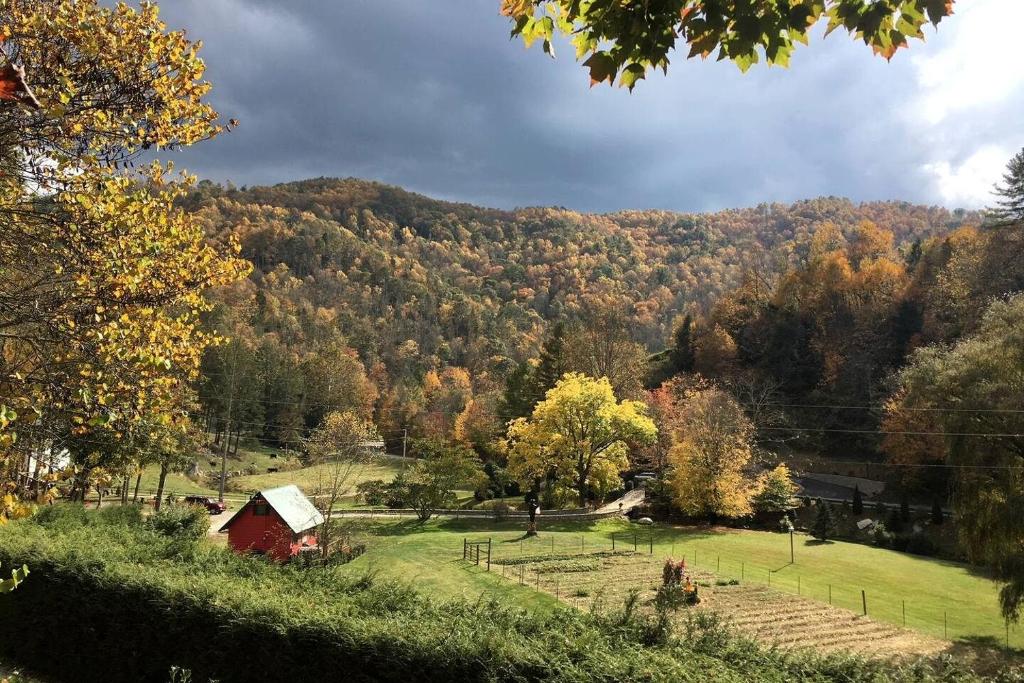 Romantic Farm-Stay Cabin with Petting Zoo & Hot Tub near Boone, NC ...