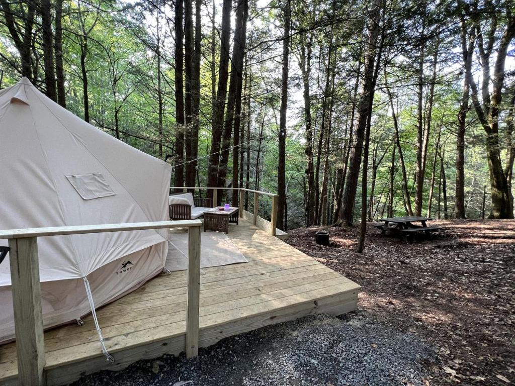 Amazing Equipped Bell Tent Nestled Among Nature in New York, Kerhonkson ...