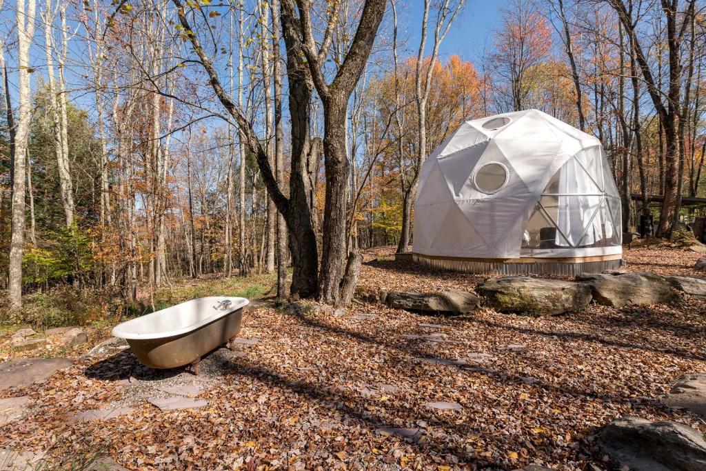 Cozy Unique Dome for Romntic Glmping Getwy on Privte Frm in Woodridge ...