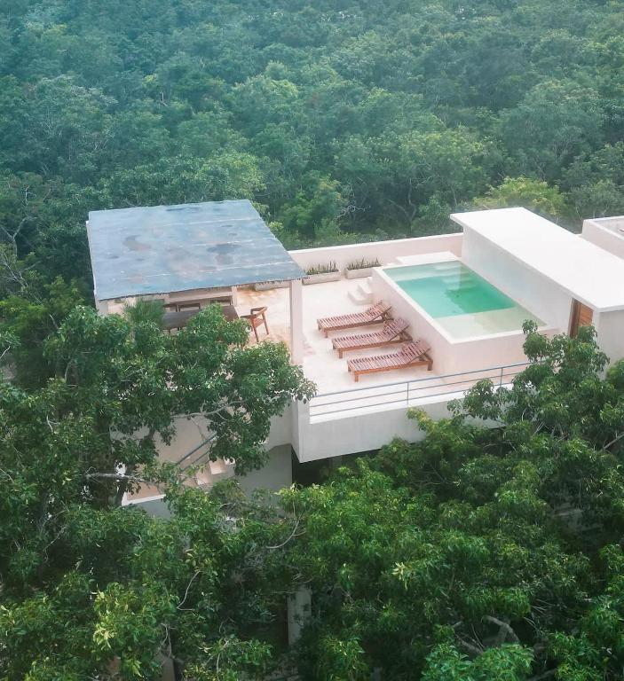 Holistika 9BR Jungle Estate with Private Rooftop & Plunge Pools, Tulum ...