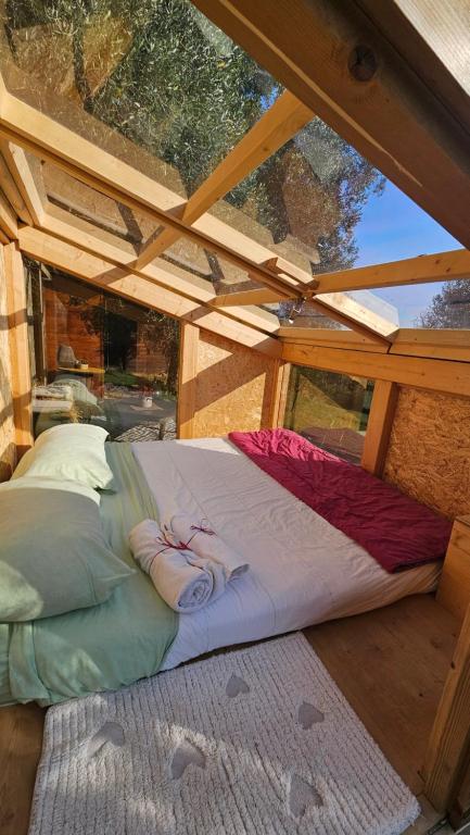 The SkyRoom - AUT vita sotto gli alberi, Calcata (aktualisierte Preise ...