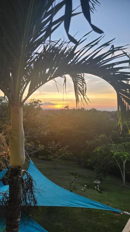 Upton apartment Ocho rios, Ocho Ríos (precios actualizados en 2026)