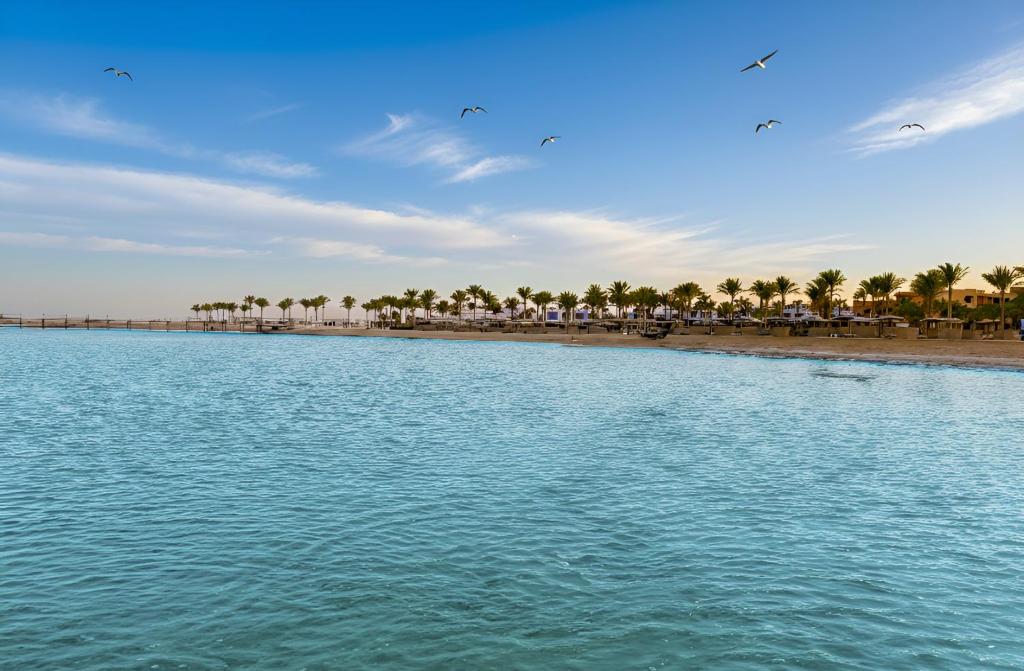 Casa Mare Resort - ex, Royal Tulip Beach Resort, Port Ghalib (updated ...