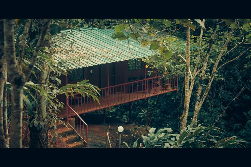 18 Best Resorts In Munnar For Family (2023) | Updated Deals, Latest ...
