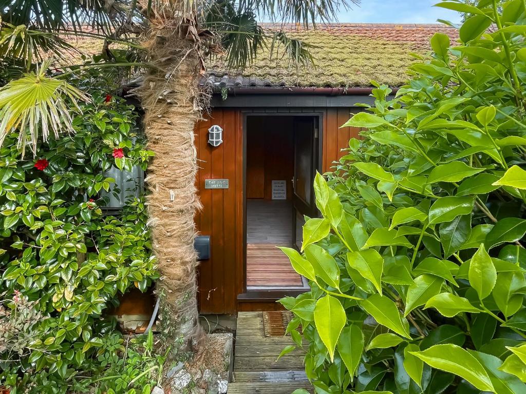 The Hut Hotel, Falmouth (updated prices 2026)