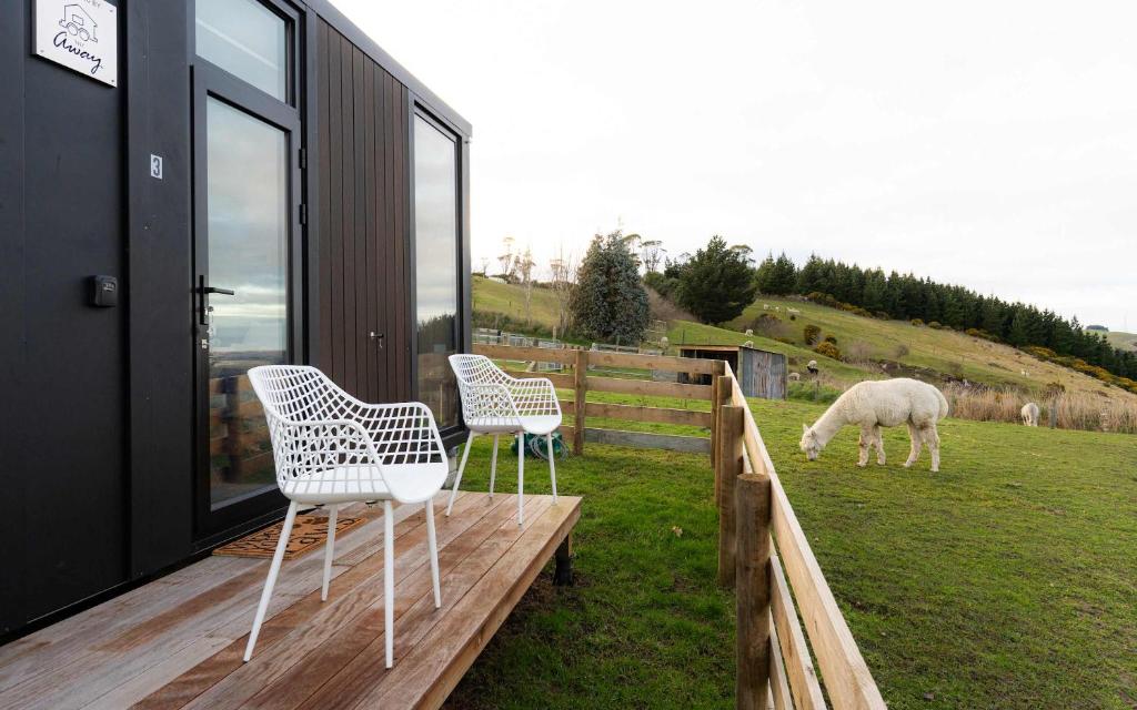 Bruce Farm Alpaca Cabin 3 by Tiny Away, Balclutha (updated prices 2026)