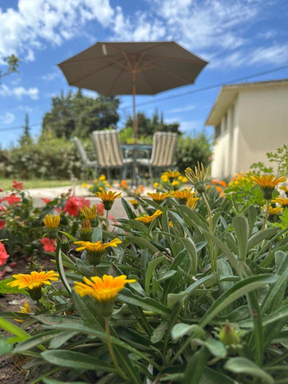 Stari Bar Apartments, Stari Bar (updated prices 2026)