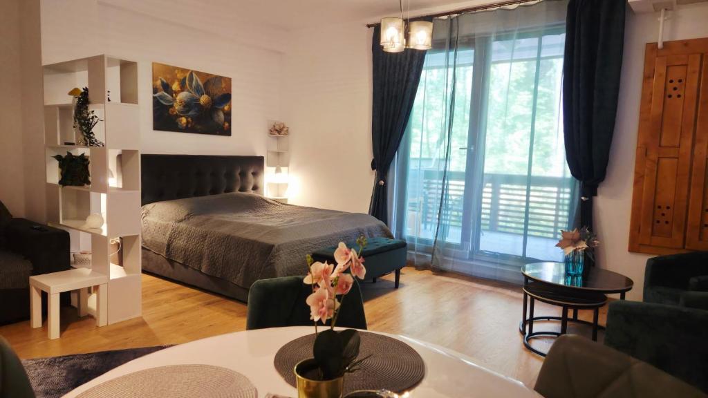 Ari Studio Clabucet, Predeal (harga terbaru 2026)