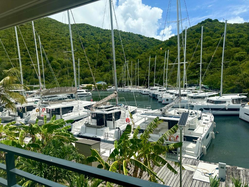 Caribbean Loft - SXM, Anse Marcel (precios actualizados 2026)