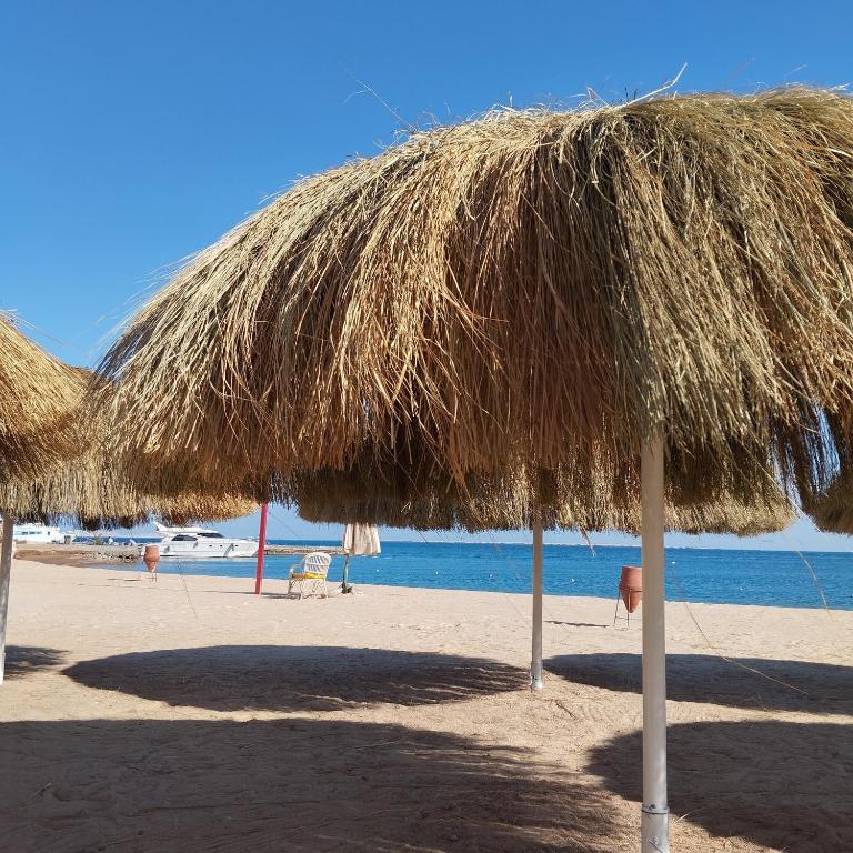 Princess Resort, Hurghada, Hurghada (prezzi aggiornati per il 2025)