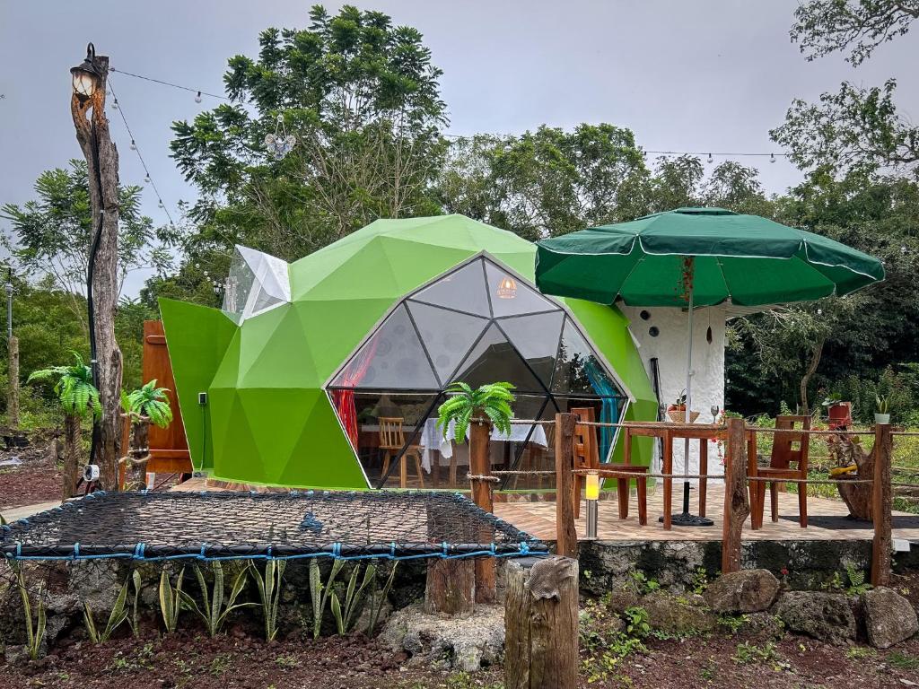 The Tortoise Dome Lodge, Bellavista (precios actualizados al 2026)