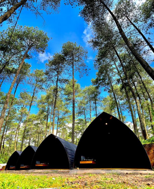 Be Glamping Lembang, Lembang (updated prices 2026)