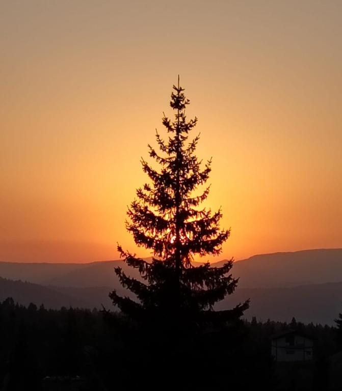 Harmony Retreat, Dealu Negru (opdaterede priser for 2026)