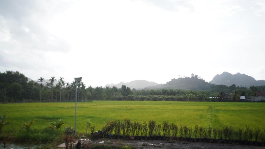 Rice Field Bungalows, Ban Pak Nam (updated prices 2026)