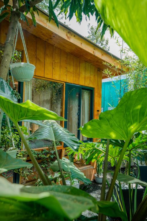 Mango Eco Cabin by Banana Farm, Nkoanrua (nove cijene za 2025.)